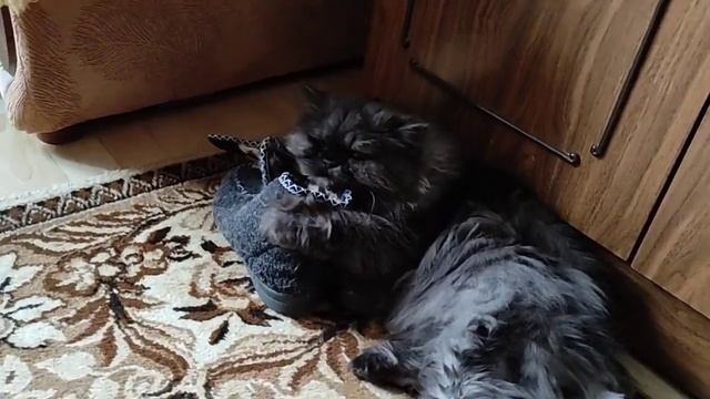 В обнимку с любимыми ботинками