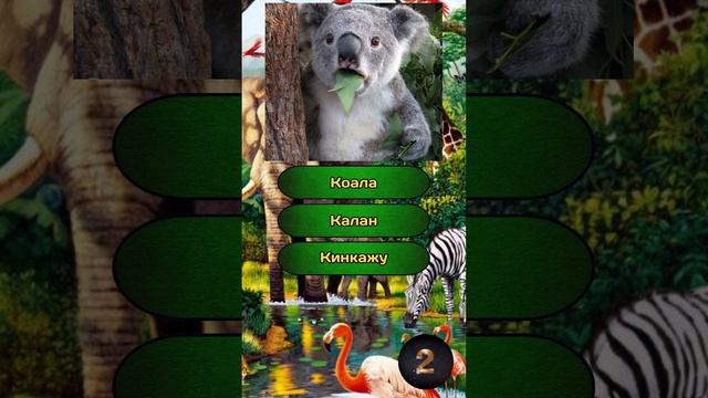 Короткая викторина "Угадай животное по фото" №7 / Тест на эрудицию