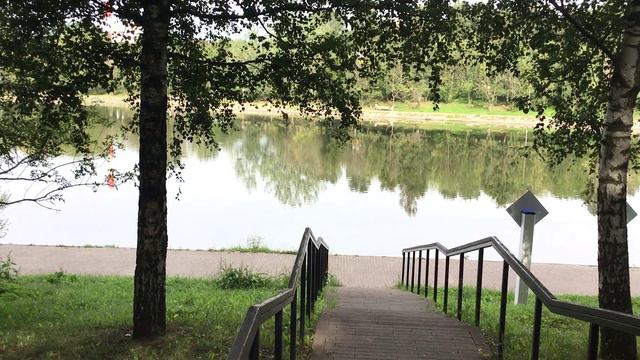 Трояновский о гармони