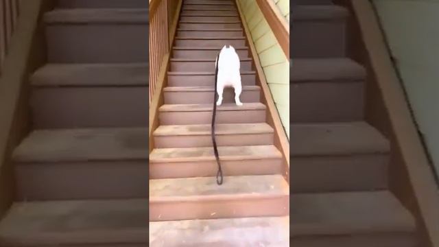 Ему так удобно