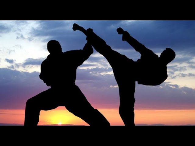 Отзыв о системе боевых единоборств "10 лепестков"