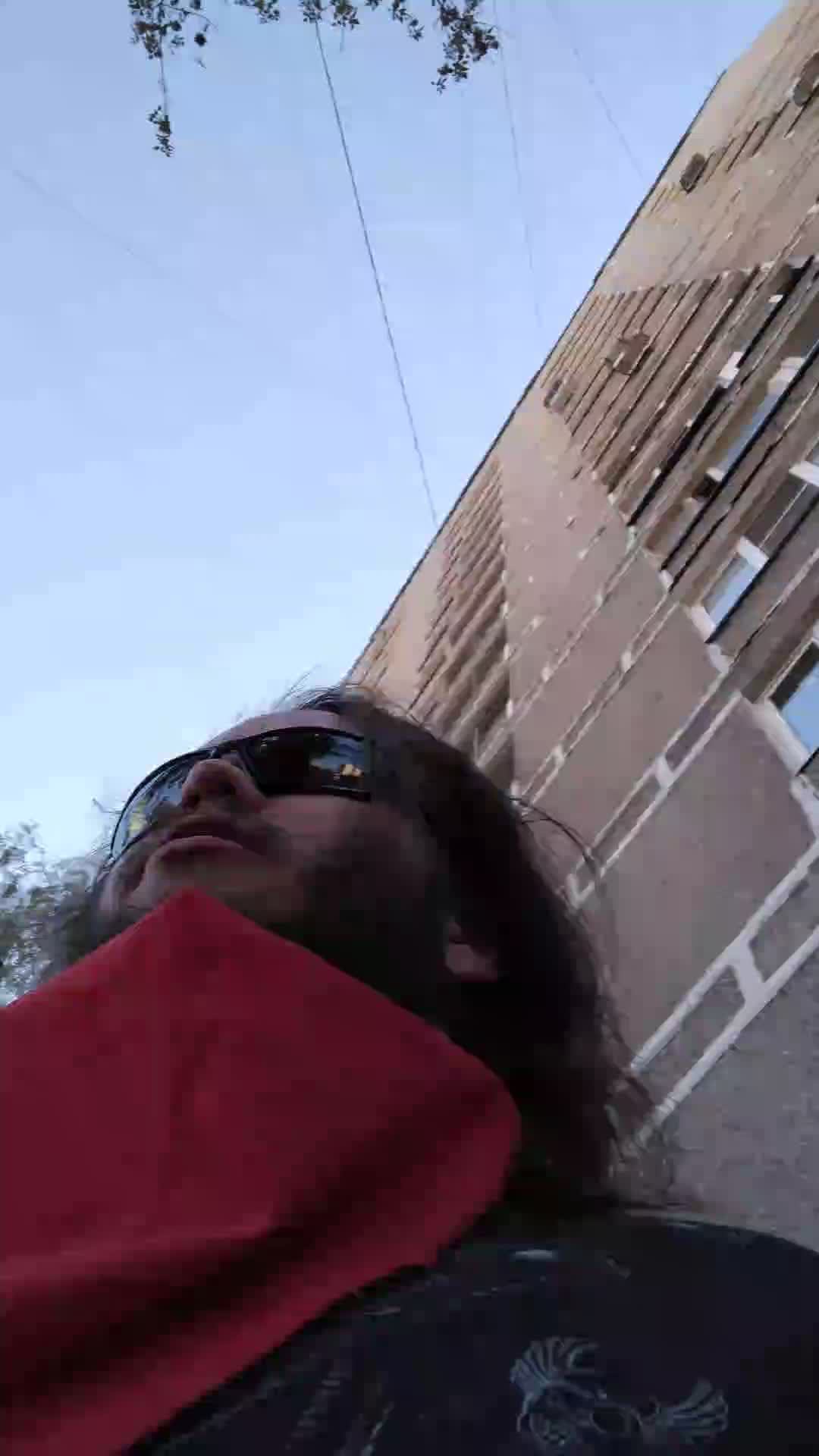 Прогулки с собаками, 4-сен-2024, 3