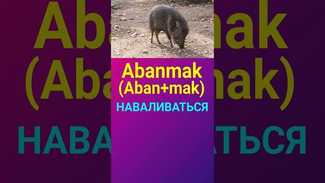 НАВАЛИВАТЬСЯ ПО ТУРЕЦКИ ТУРЕЦКИЙ ЯЗЫК ОНЛАЙН УРОКИ И ГРАММАТИКА ТУРЕЦКОГО ЯЗЫКА ДЛЯ НАЧИНАЮЩИХ