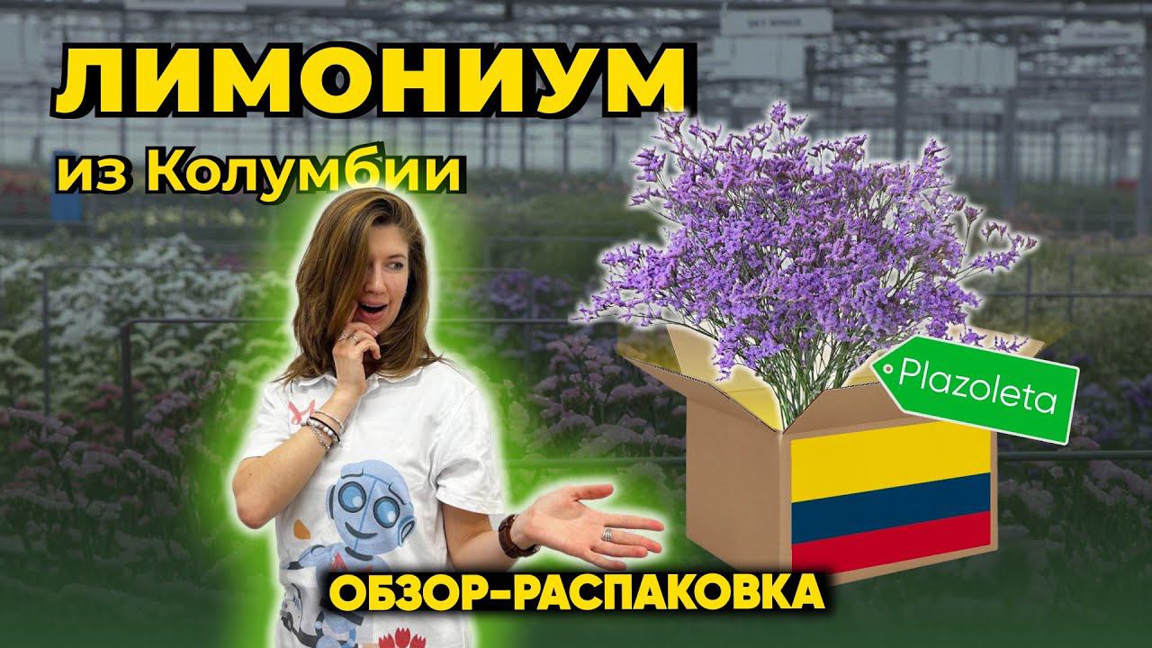 Филлеры из Колумбии | ОБЗОР-РАСПАКОВКА: Лимониум от плантации Plazoleta