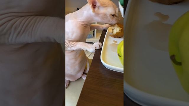 пора и пообедать