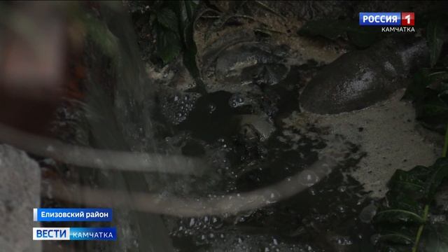 В Новоавачинском поселении нашли источник сточных вод, попадающих в ручей || Вести-Камчатка