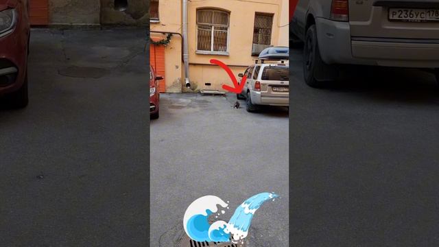 Ты мне нужна... и ты мне нужен...