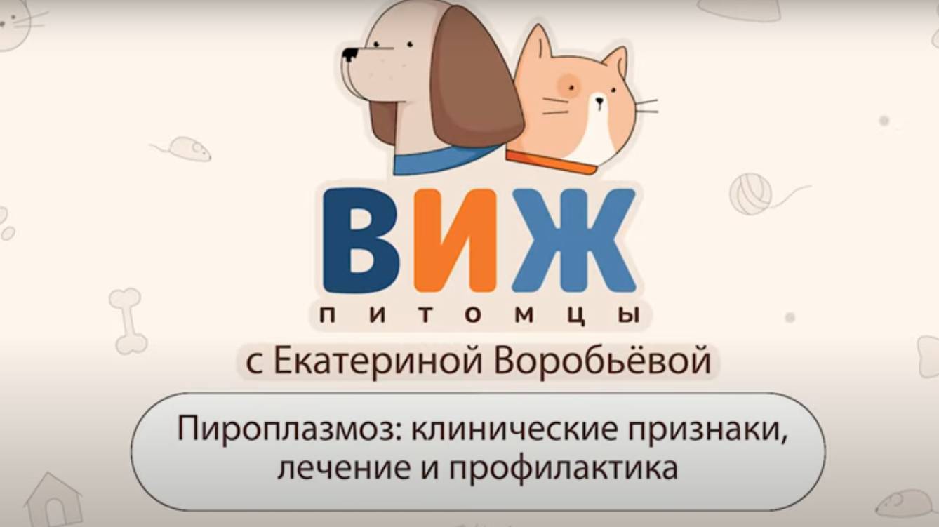 ВИЖ Питомцы. Лечение и профилактика пироплазмоза