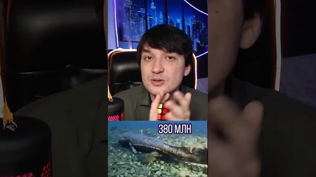 История жизни