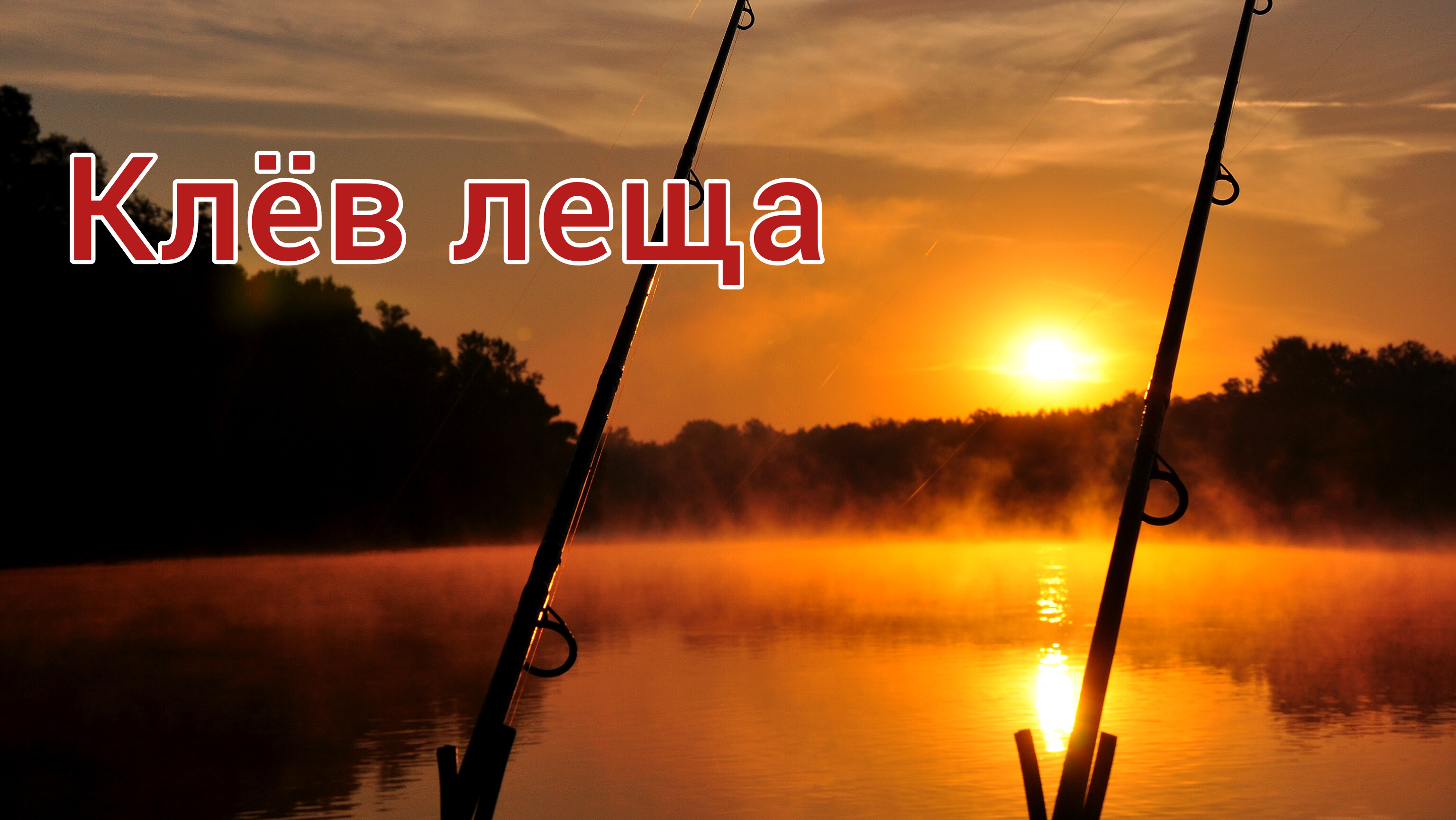 ПОЙМАЛ ЛЕЩА на ФИДЕР! Рыбалка на реке на ФИДЕР. Ловля ЛЕЩА на червя.КРУПНЫЙ ЛЕЩ на ДОНКУ