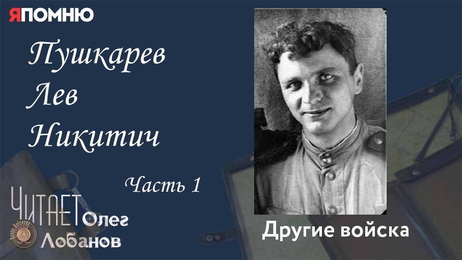 Пушкарев Лев Никитич Часть 1.Проект "Я помню" Артема Драбкина. Другие войска.