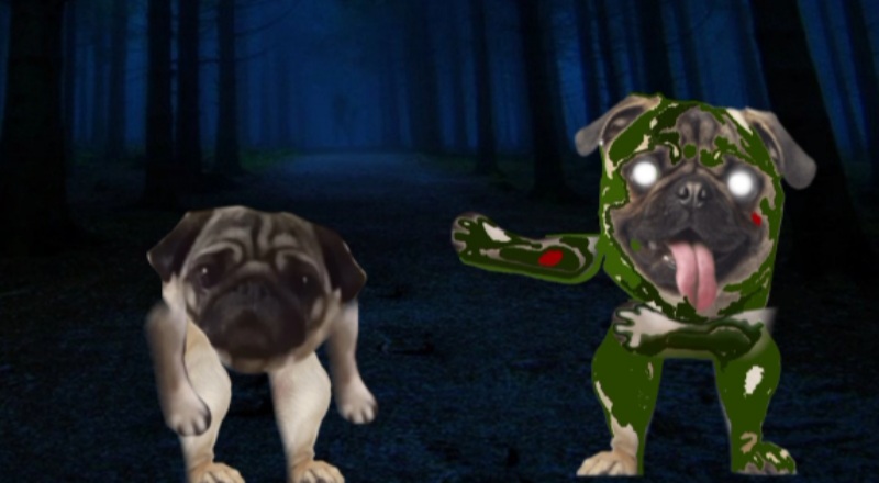 Пробная Анимация мопсы против зомби!