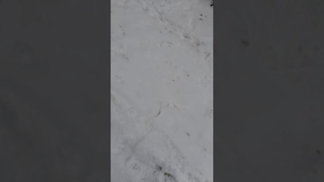 Катание с горки.