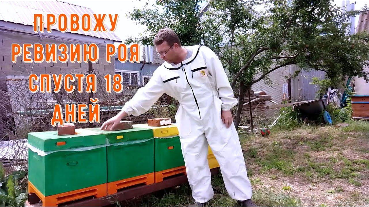 Ревизия Словленного Роя Пчел