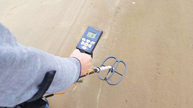 FOMTECT FLAGMAN-M3 поиск 2