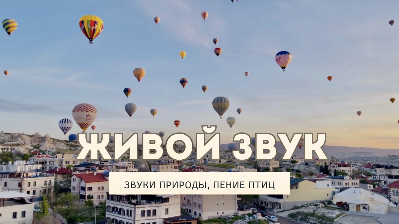 Живой звук - пение птиц, музыка для медитации, ASMR