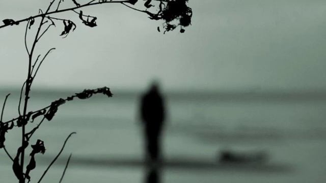 Почему я о тебе вспоминаю...