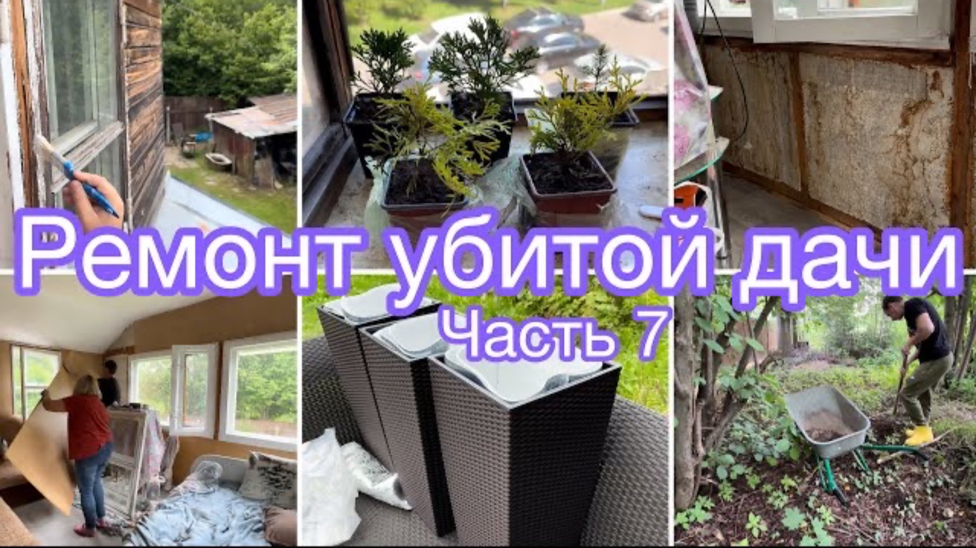 Ремонт убитой дачи. Часть 7. Обшиваем стены. Посадка туй. Огород. Дача.