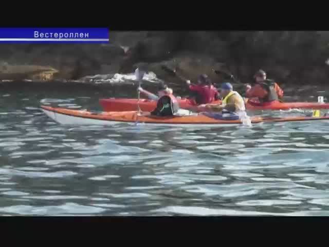 Arctic Sea Kayak Race  - сюжет на мончегорском телевидение