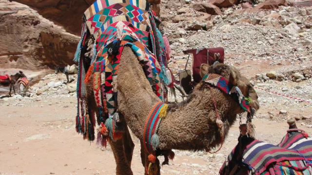 Израиль-Иордания-Петра