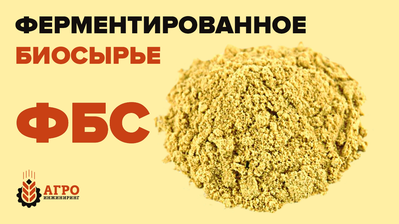 Производство ферментированного биосырья из сои. Преимущества ФБС