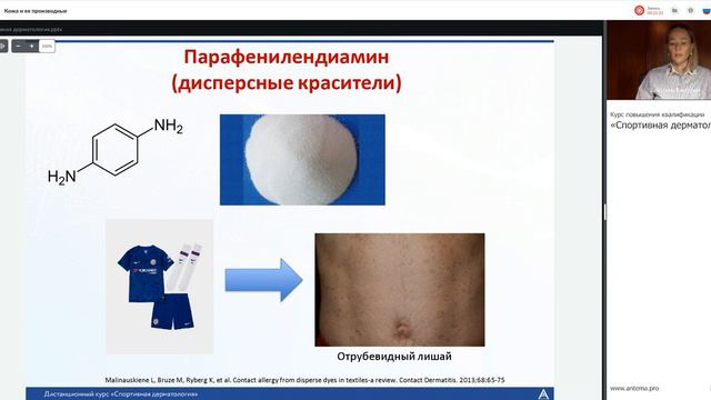 Вводная лекция «Кожа и ее производные»