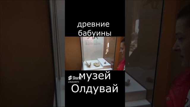 музей Олдувай - польза древних бабуинов