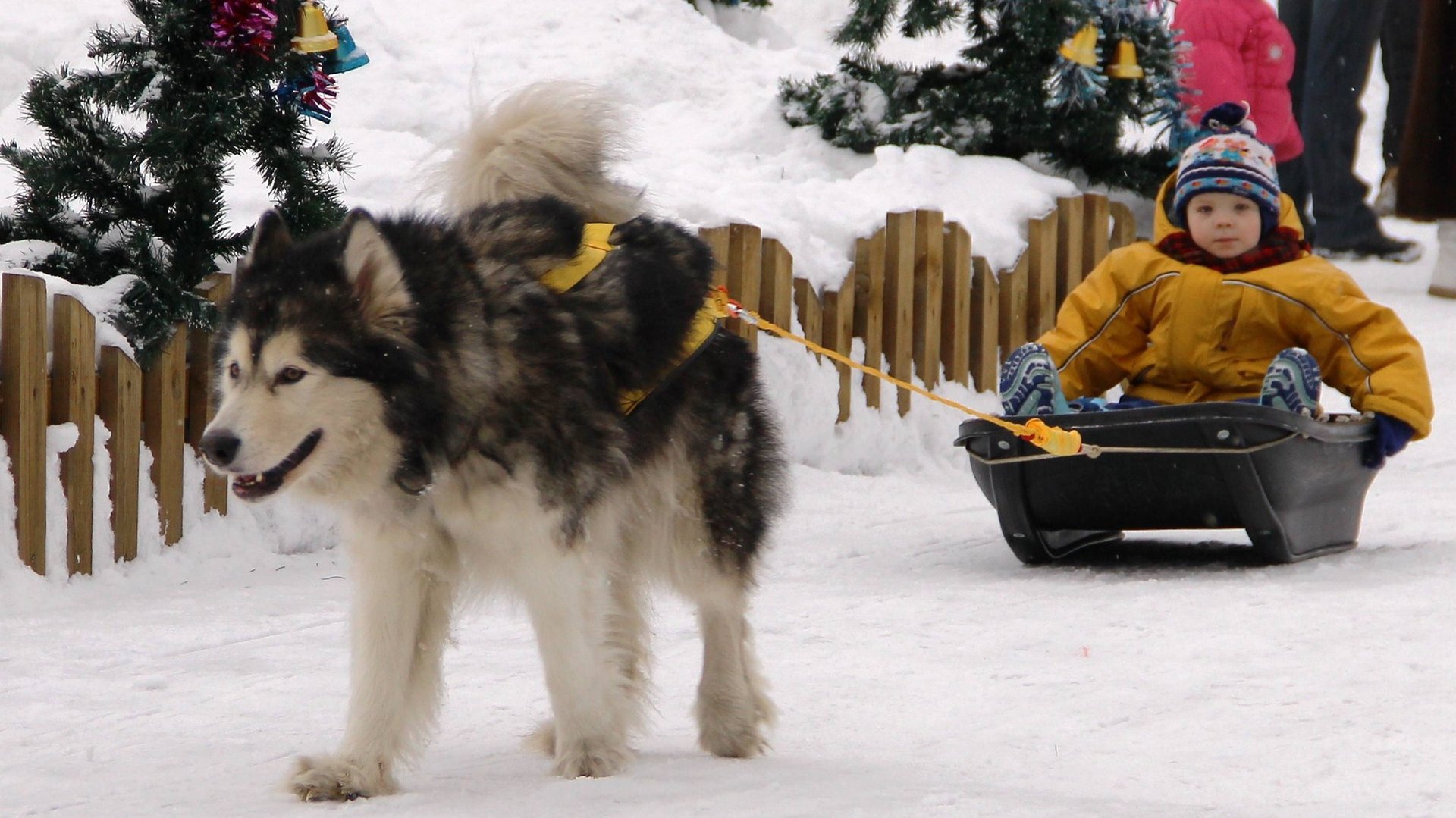 Катание детей с ограниченными возможностями