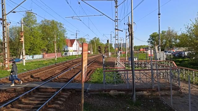 Электропоезд ЭД4М и Электропоезд ЭШ2-005 Аэроэкспресс Шереметьево - Москва | Московский транспорт