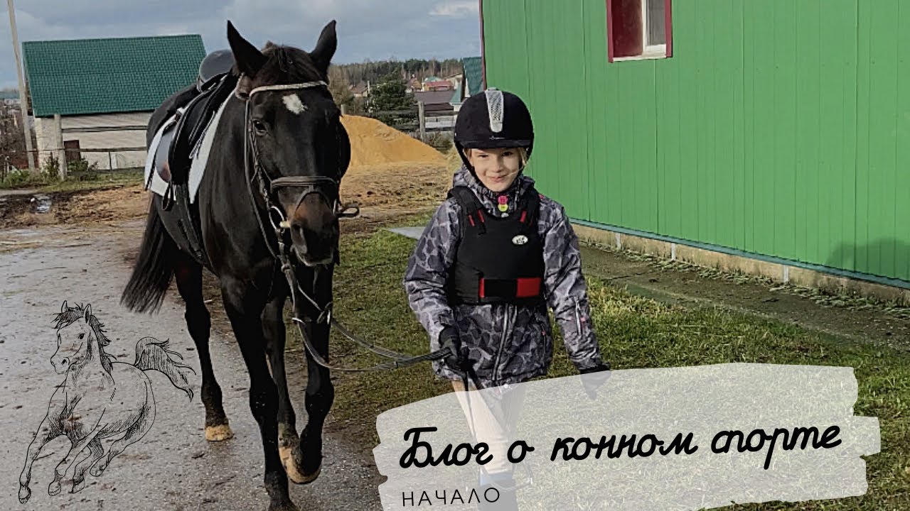 ВАУ ВЕРХОМ НА ЛОШАДИ СмотРеть ВСЕМ #youtube #тренды  #жизнь  #новости