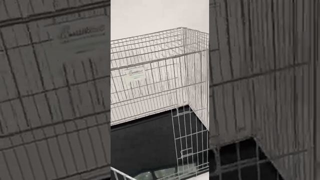 Клетка #4 Хром