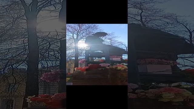 Павловск , СПБ ПИТЕР ТИПИЧНЫЙ ПИТЕР ЛЕТО ПРИРОДА