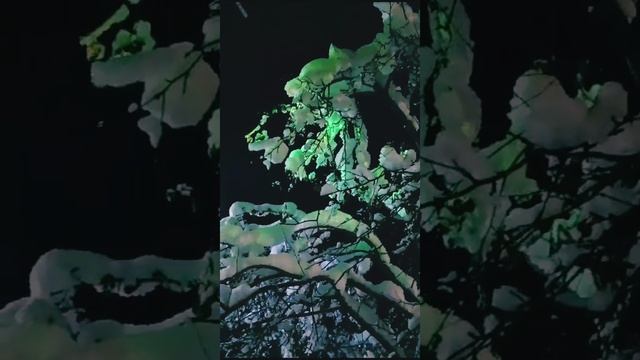 Новый год за городом.❄️☃️????