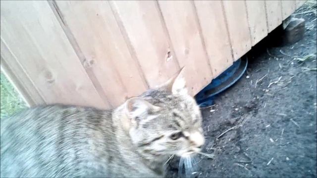 обзор дачного туалета стоимостью 10000 рублей.