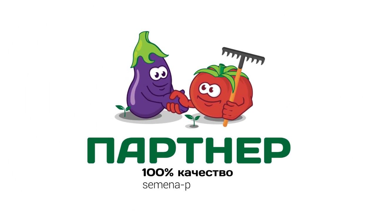 Партнер