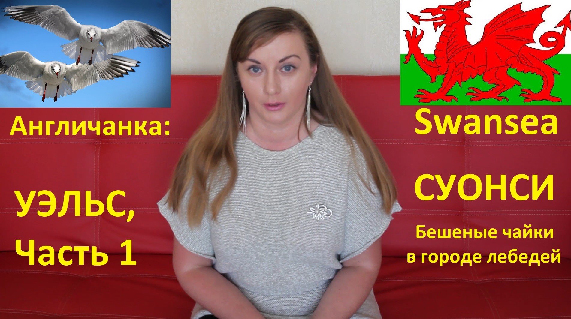 УЭЛЬС:  Бешеные чайки в городе лебедей - Swansea (Суонси)