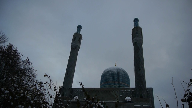 Рифат Гумеров.  Санкт-Петербург - 2. 1-3 декабря 2016 