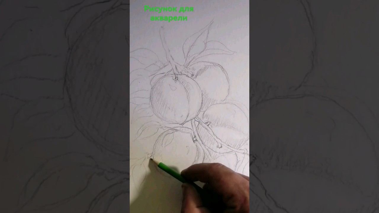 Рисуем персики на ветке