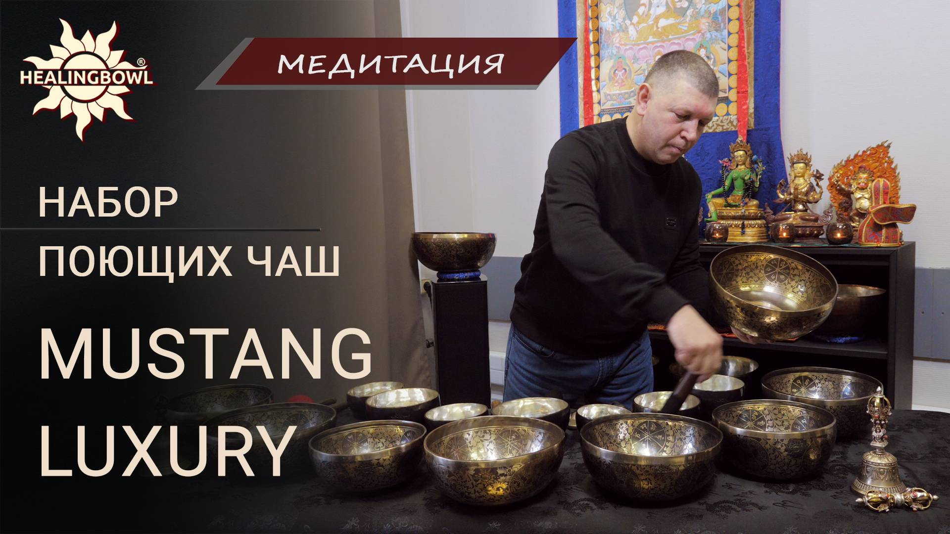 Медитация c набором Поющих чаш Healingbowl® Luxury Mustang® Коллекционный - Поющие чаши Купить