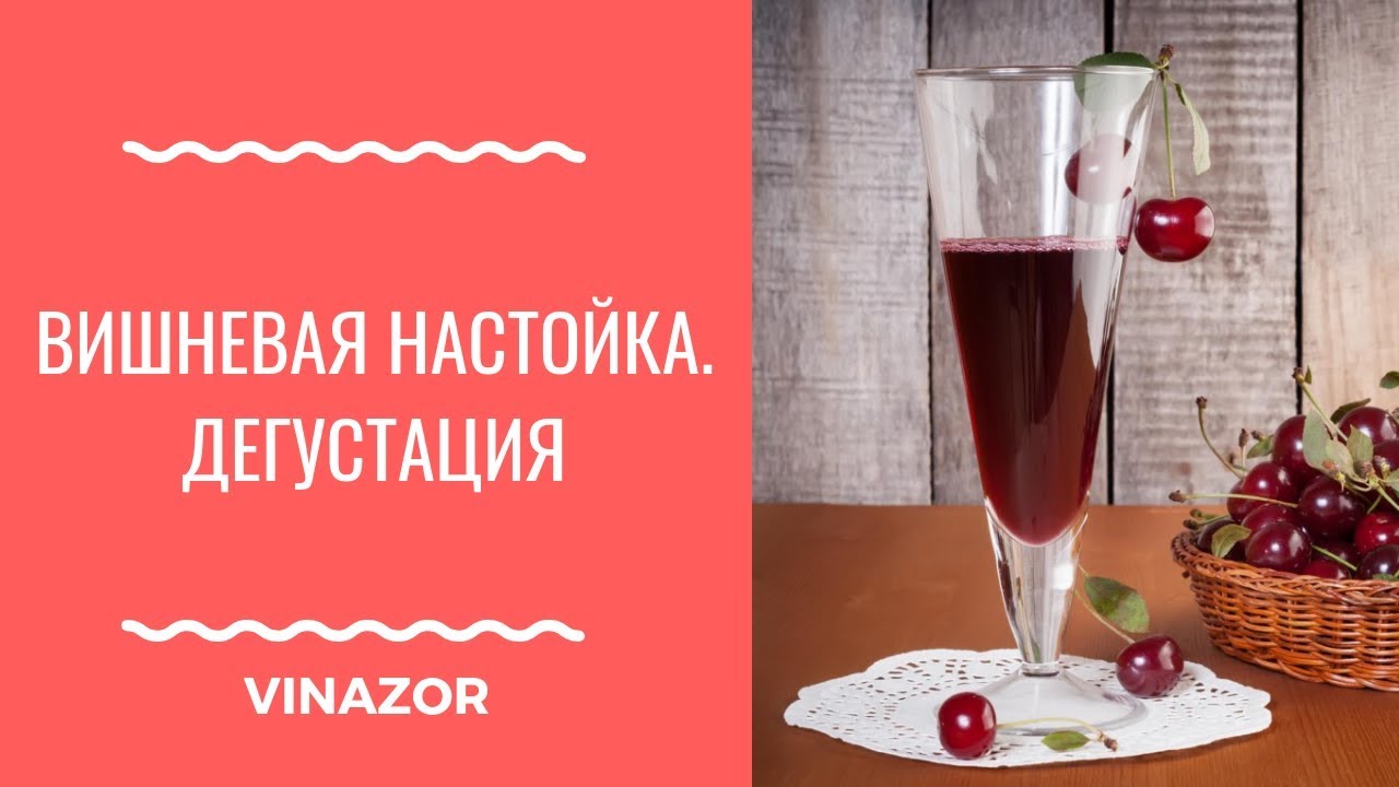 Дегустация Вишнёвой Настойки. Вкусная Настойка на Вишне и Водке..mp4