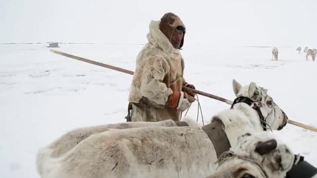24.11.2023 мис Финно-угория визитка