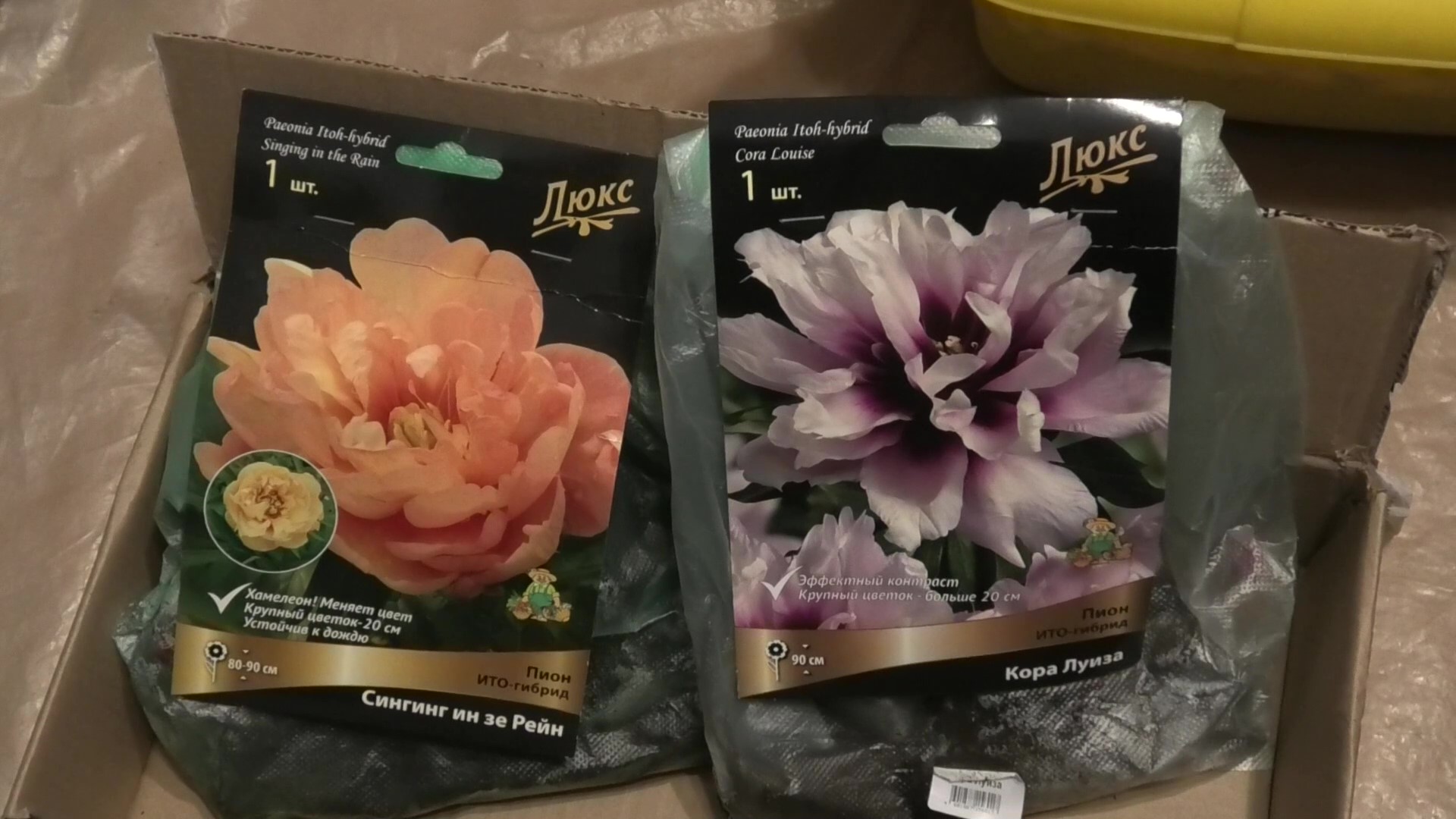 5-13 04 24г на даче. обзор рассады и саженцы.