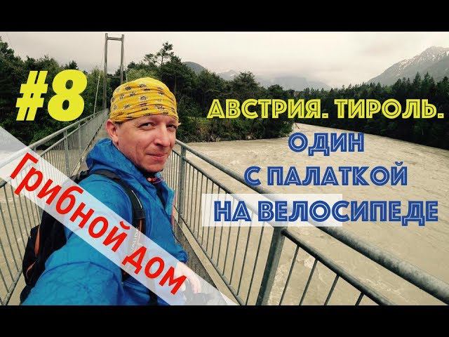 8. Грибной дом, или как не выпасть из реальности? Канал о психоделических путешествиях.