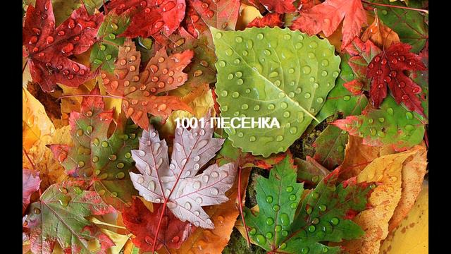 ПЕСЕНКА - листики осенние