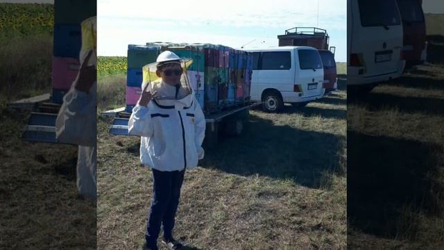 Мëд собственой пасеки