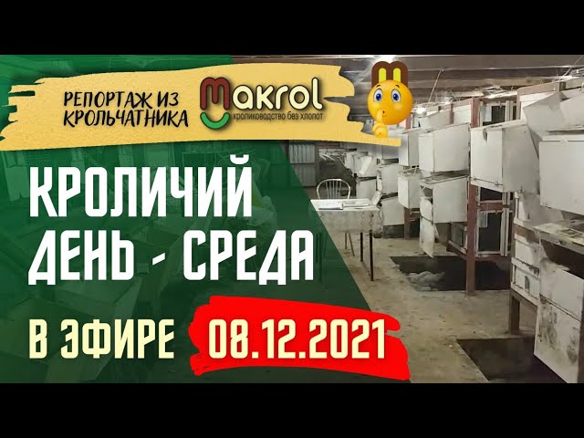?08.12.2021 ?Крольчатник #Макрол. ?Еженедельный эфир из крольчатника. #Макляк