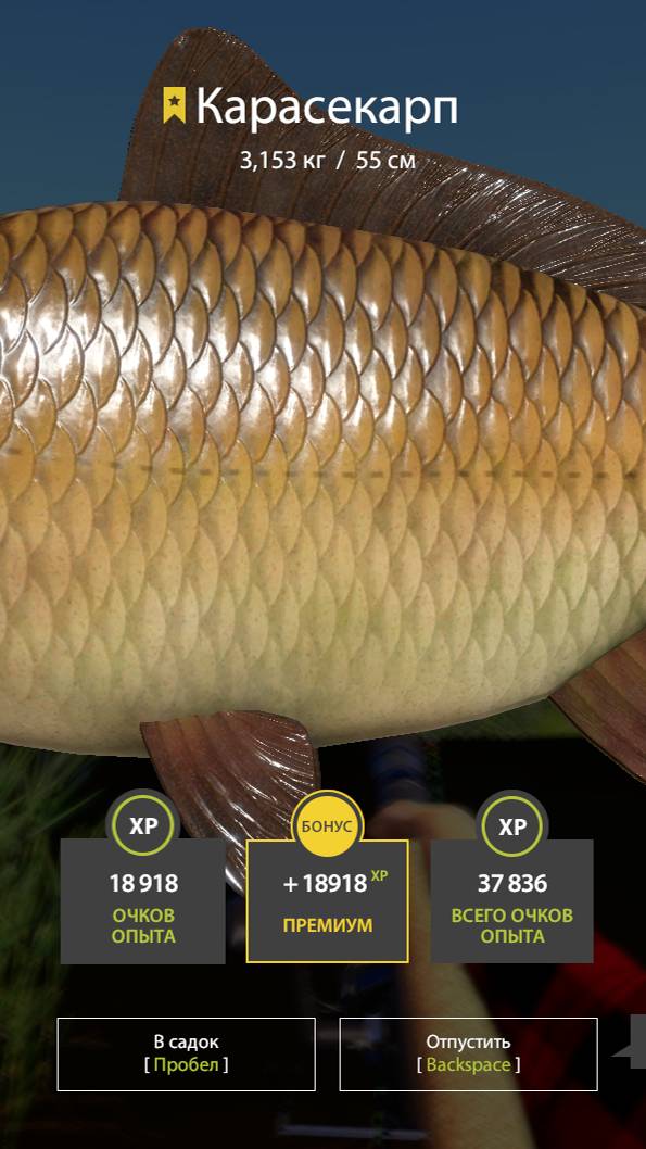 Медное  Трофей Котопса :)