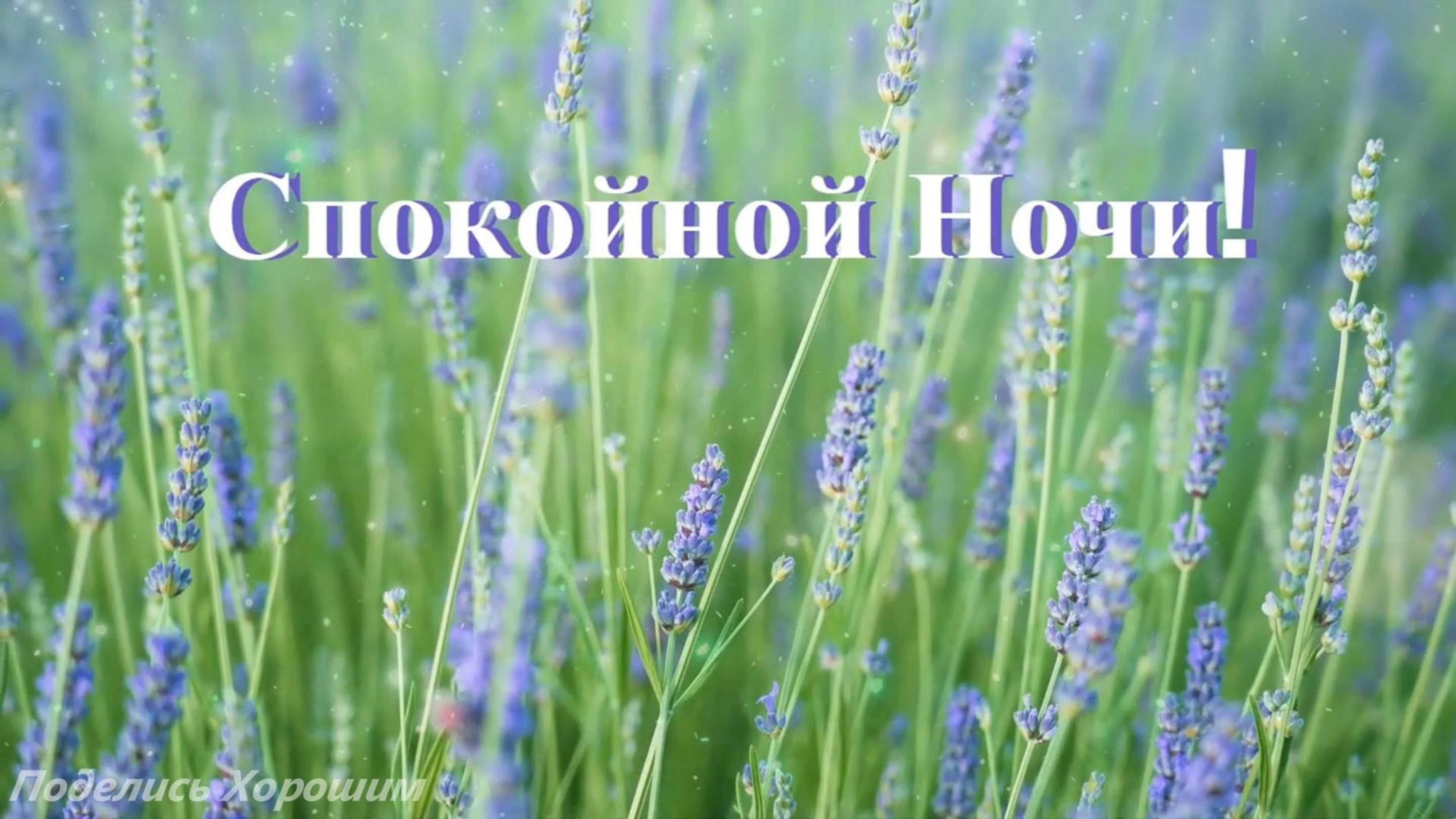 Спокойной ночи!