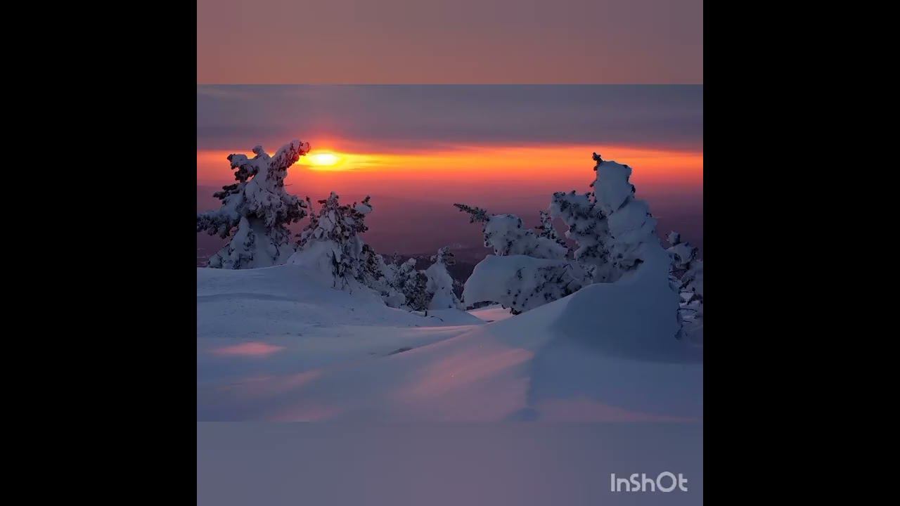 Сибирь-матушка #родина#сибирь#алтай#кузбасс#природа#река#лес#пейзаж#