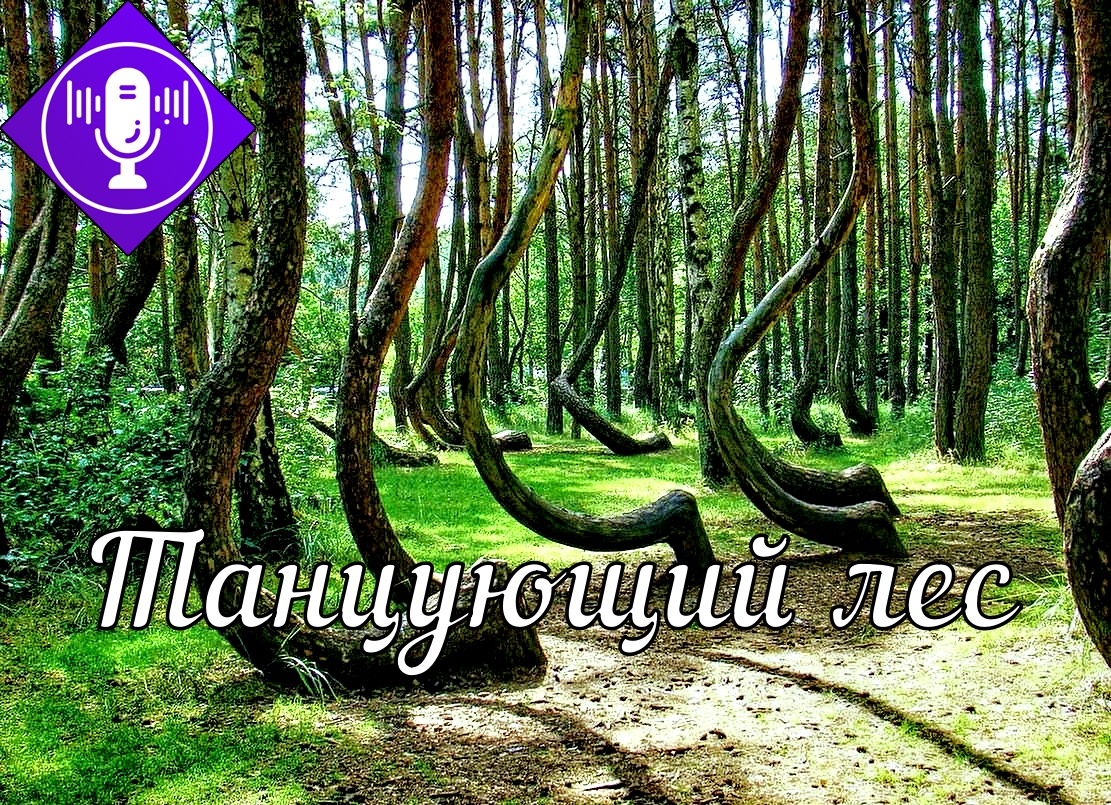 Танцующий лес. Мистические истории.